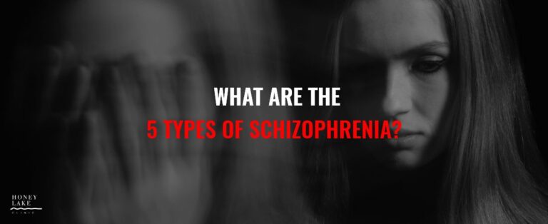 What Are The 5 Types of Schizophrenia? | Honey Lake Clinic
