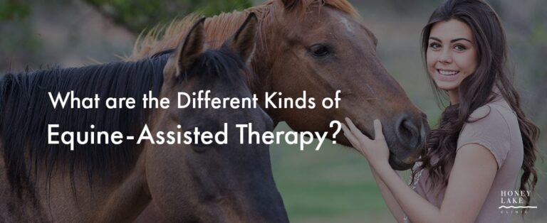 What are the Different Kinds of Equine-Assisted Therapy? - Honey Lake