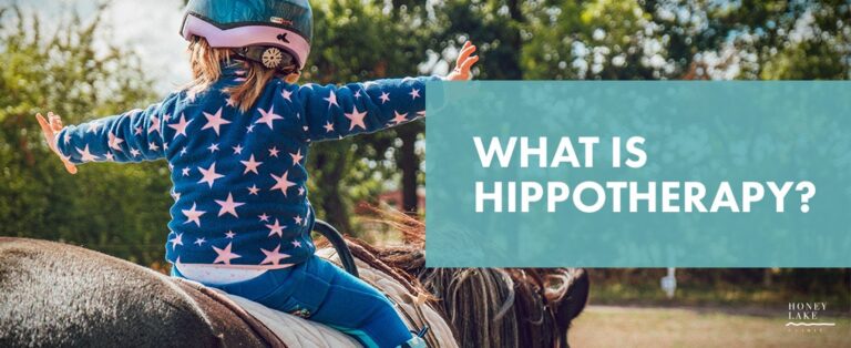 What is Hippotherapy? - Honey Lake Clinic Blog